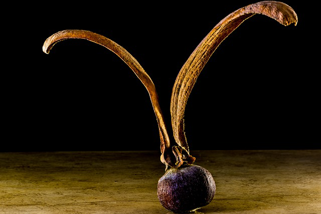 Πατσουλί - Printec